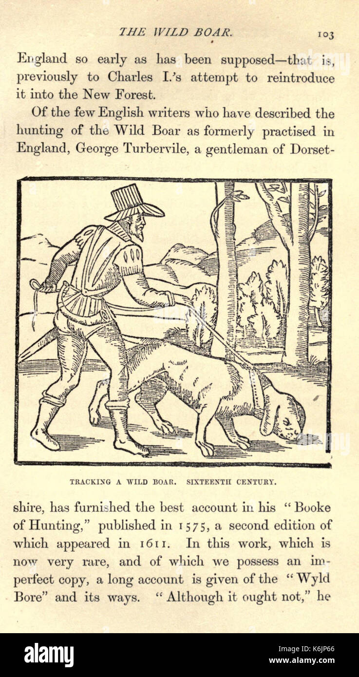 British animals extinct within historic times (Page 103) BHL17765542 ...