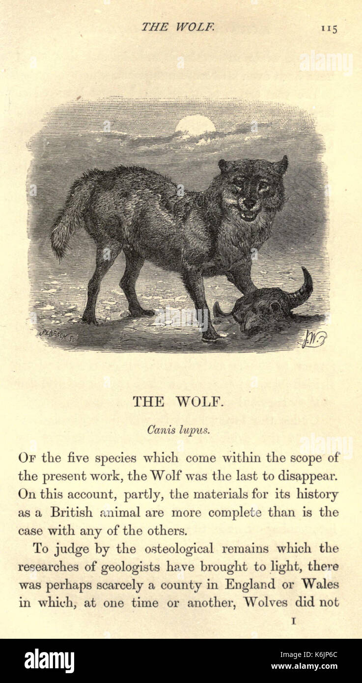 British animals extinct within historic times (Page 115) BHL17765554 ...