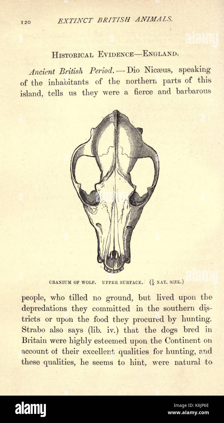 British animals extinct within historic times (Page 120) BHL17765559 ...