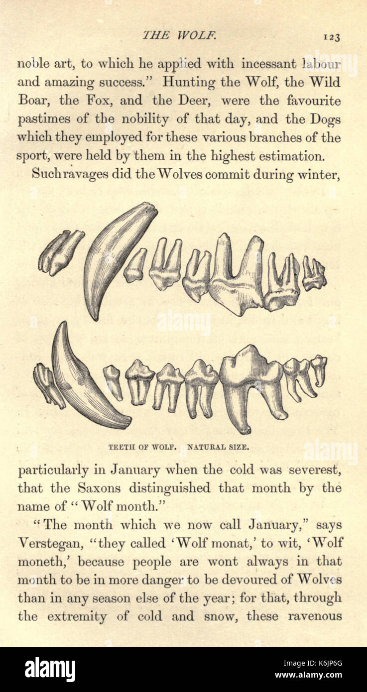 British animals extinct within historic times (Page 123) BHL17765562 ...