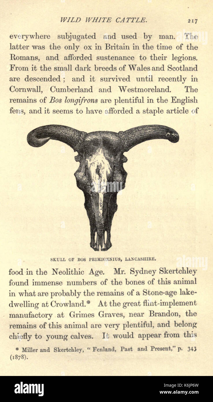 British animals extinct within historic times (Page 217) BHL17765656 ...