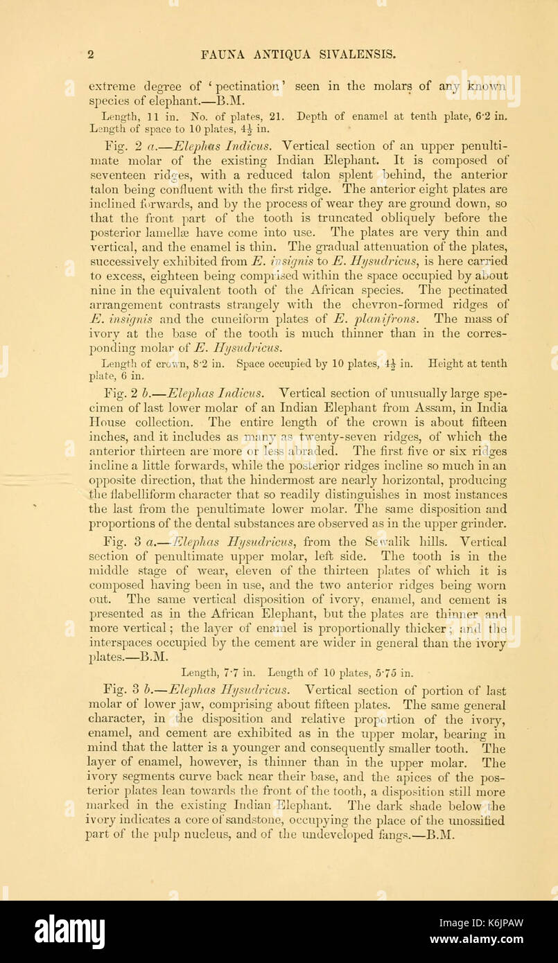 Description of the plates of the Fauna antiqua sivalensis (Page 2 ...