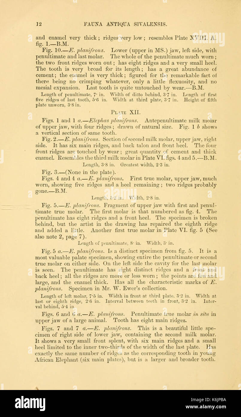 Description of the plates of the Fauna antiqua sivalensis (Page 12 ...