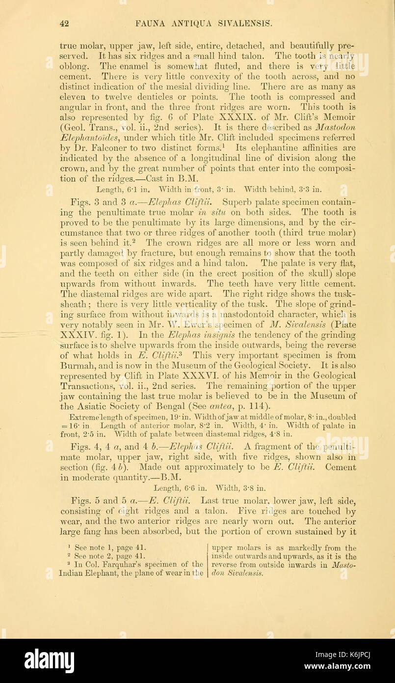 Description of the plates of the Fauna antiqua sivalensis (Page 42 ...
