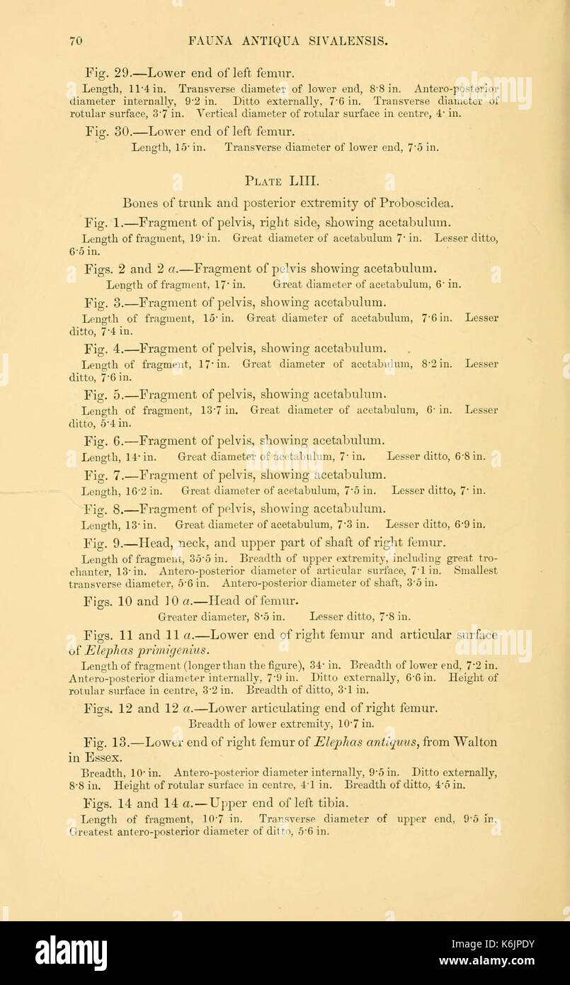 Description of the plates of the Fauna antiqua sivalensis (Page 70 ...