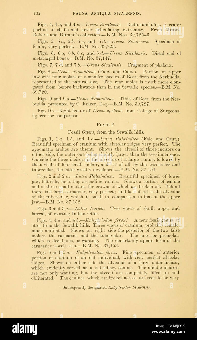 Description of the plates of the Fauna antiqua sivalensis (Page 132 ...