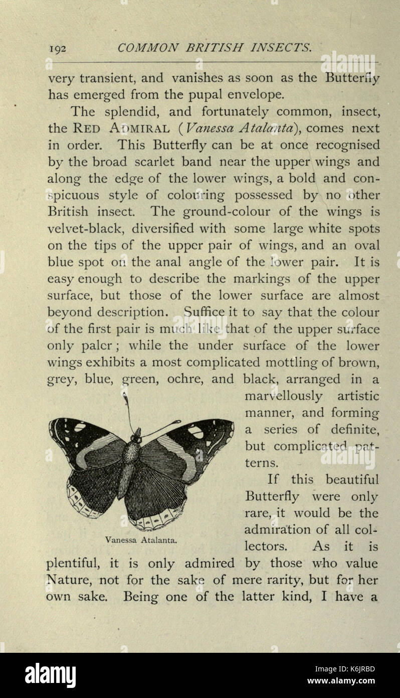 Common British insects selected from the typical beetles, moths, and ...