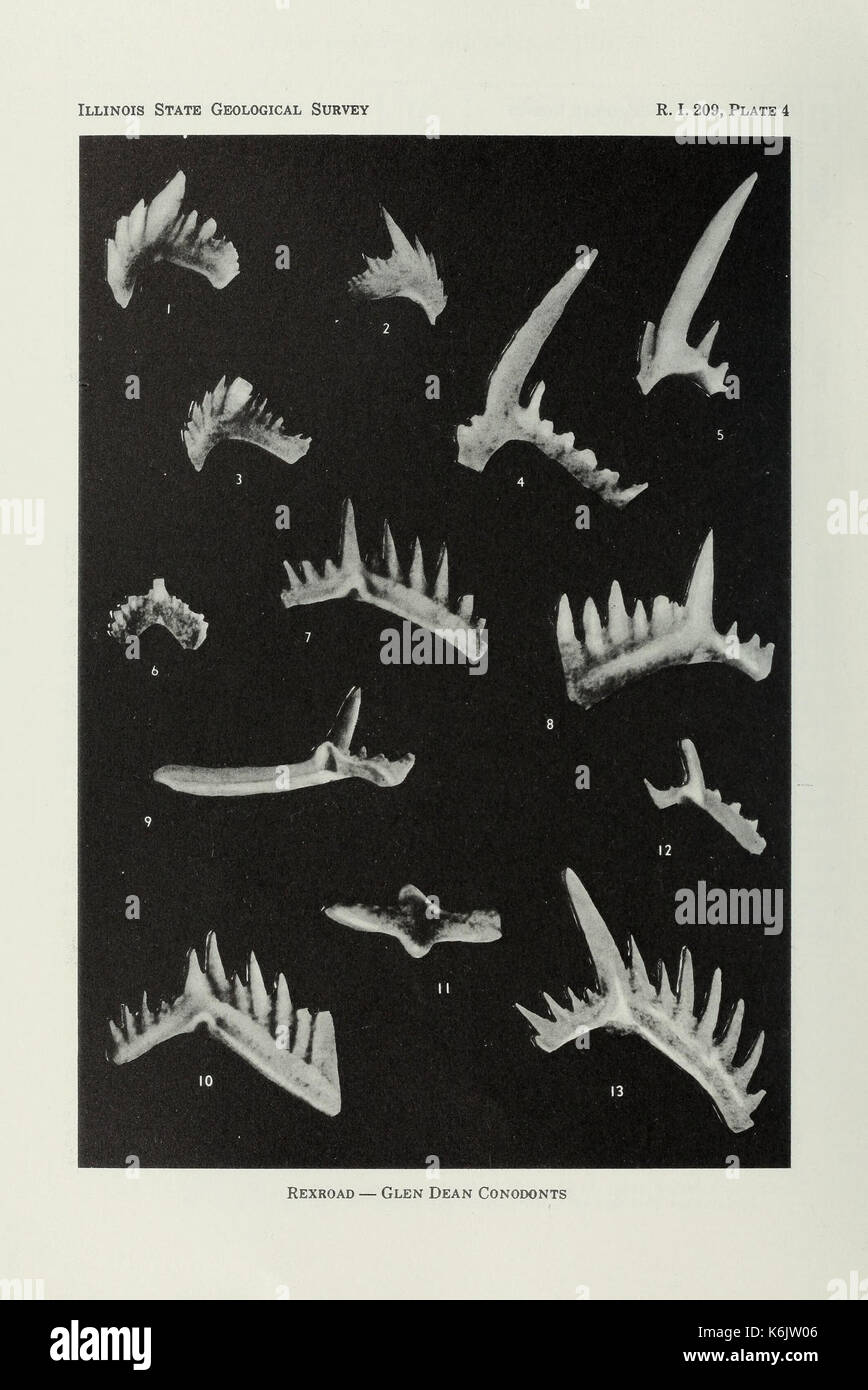 Chester formation hi-res stock photography and images - Alamy