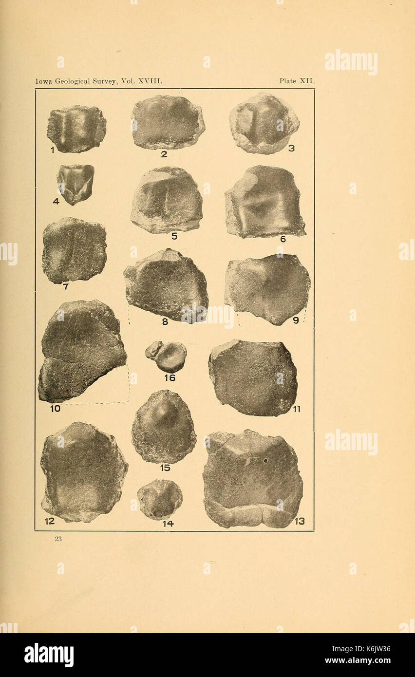 The 'Devonian Fishes of Iowa' is a scientific work documenting the fish ...