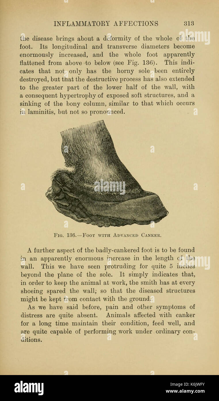 313 foot hi-res stock photography and images - Alamy