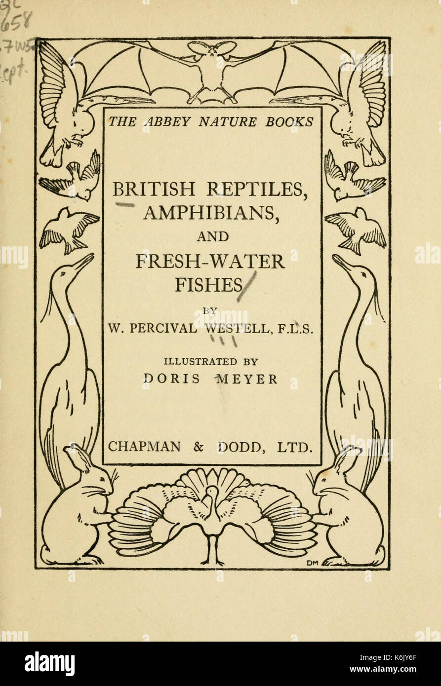 British reptiles, amphibians, and fresh water fishes BHL12374972 Stock ...
