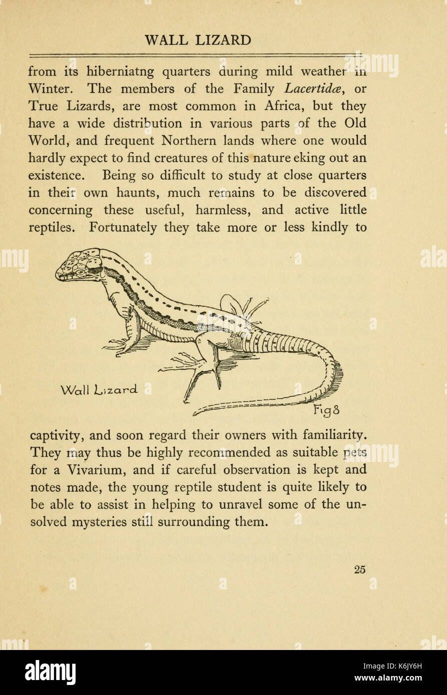 British reptiles, amphibians, and fresh water fishes (Page 25 ...