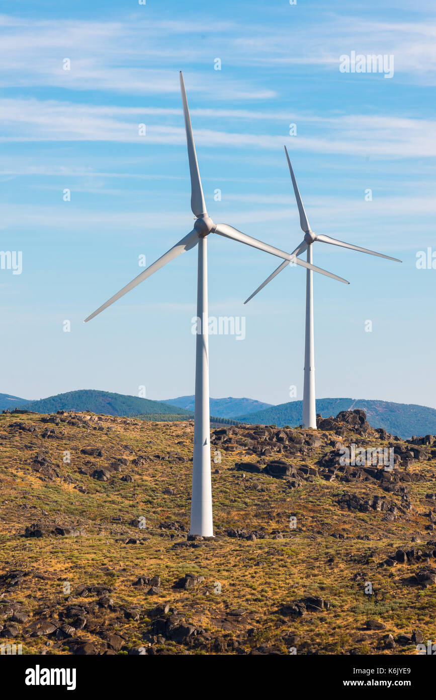 Windmills for electric power production. Wind turbine power generator ...