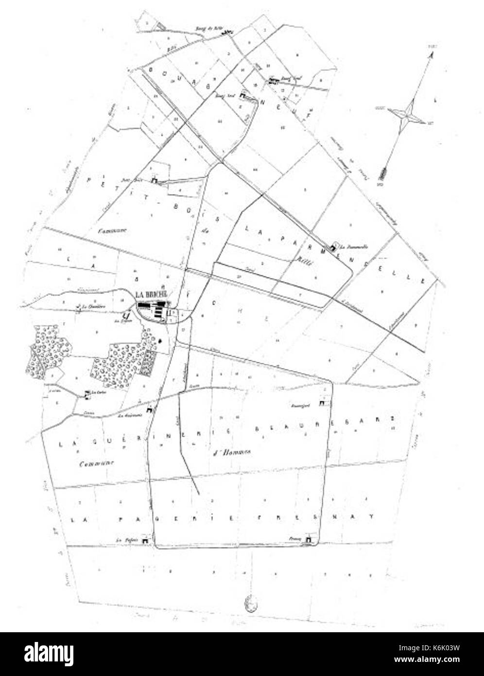 Site map architectural plan Cut Out Stock Images & Pictures - Alamy
