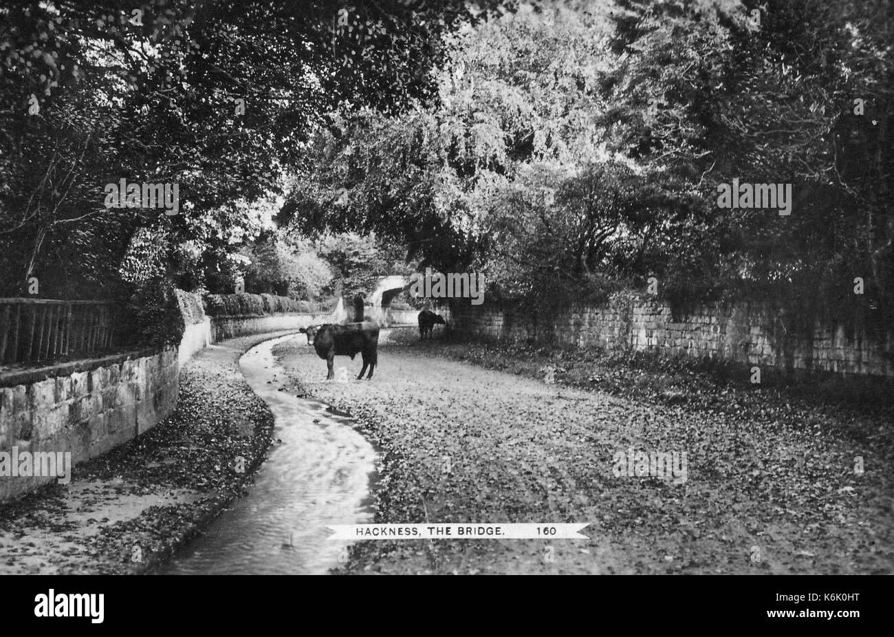 Hackness north yorkshire hi-res stock photography and images - Alamy