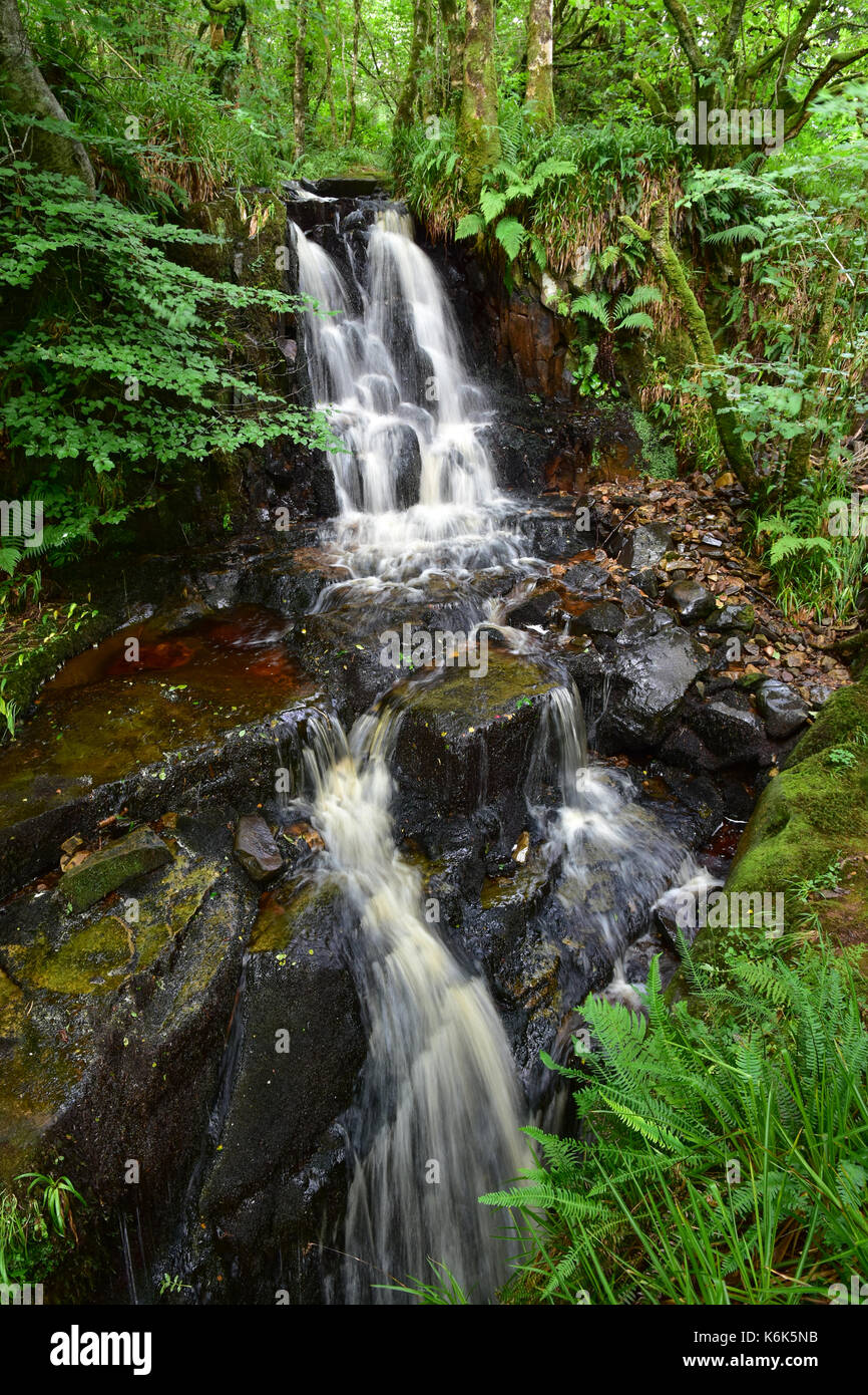 Glenashdale Falls, Whiting Bay, Arran Island, Scotland Stock Photo - Alamy