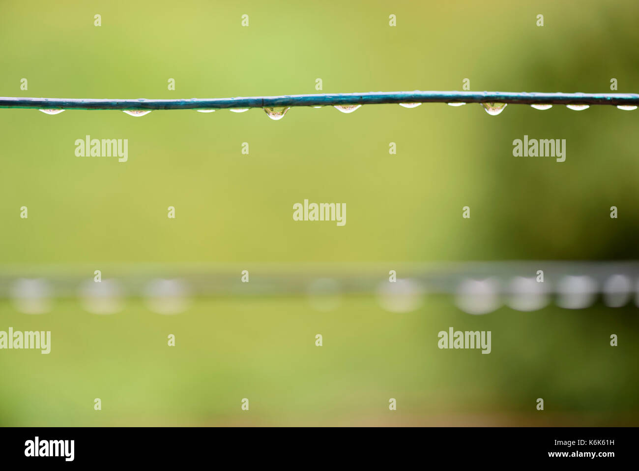 Rain drops on a wire Stock Photo - Alamy