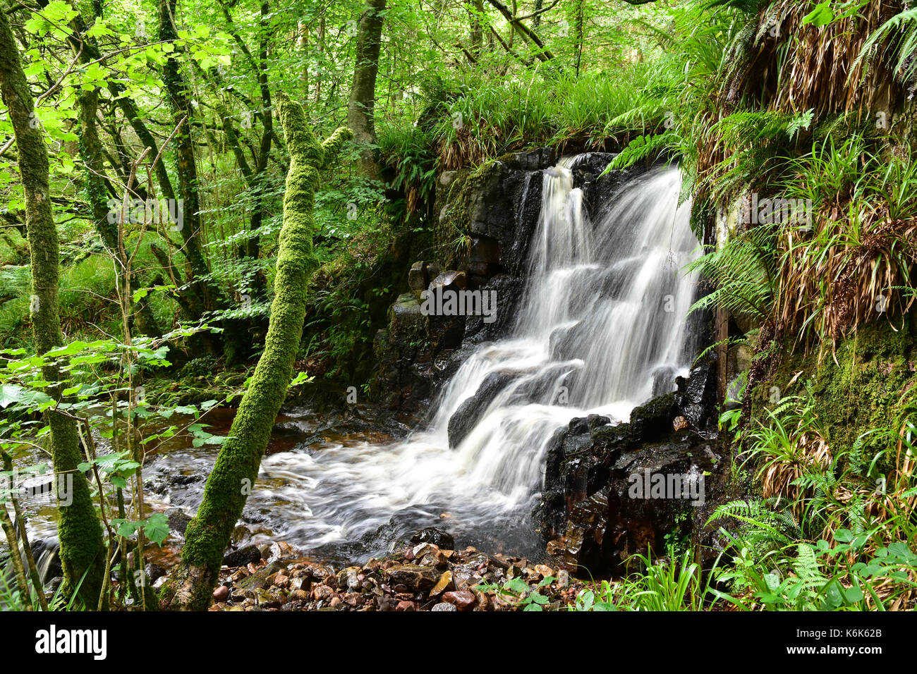 Glenashdale Falls, Whiting Bay, Arran Island, Scotland Stock Photo - Alamy