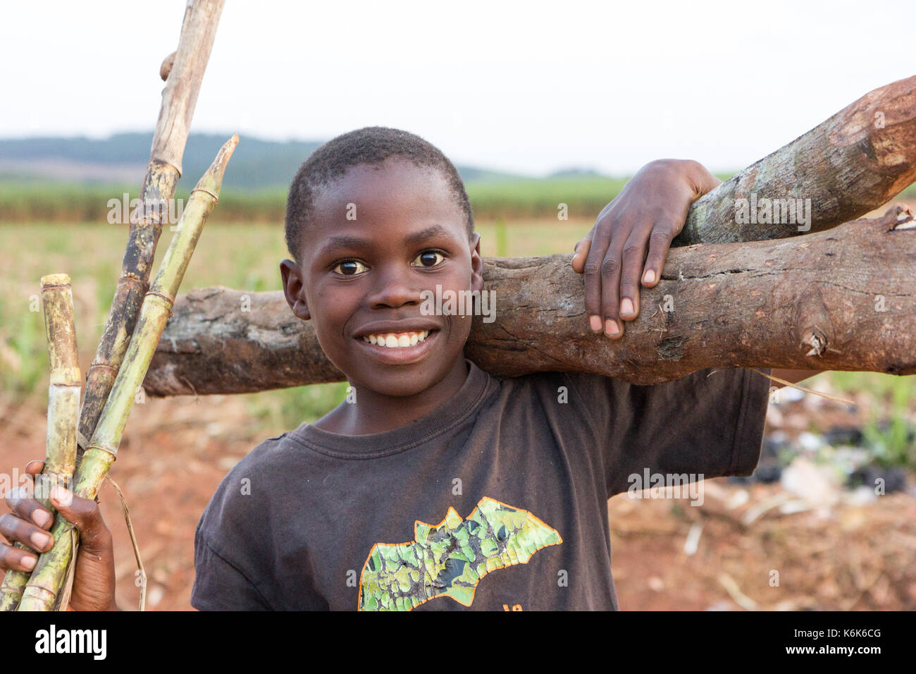 A young black boy smiling holding a trunk of fire wood on his shoulder ...