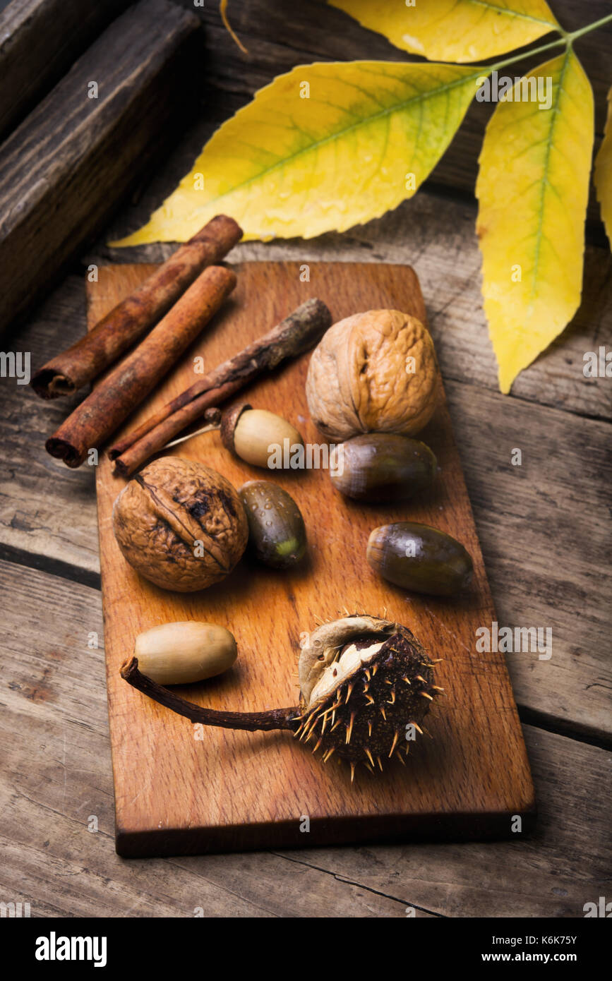autumn foliage, walnut, acorns and cinnamon on a retro background Stock ...