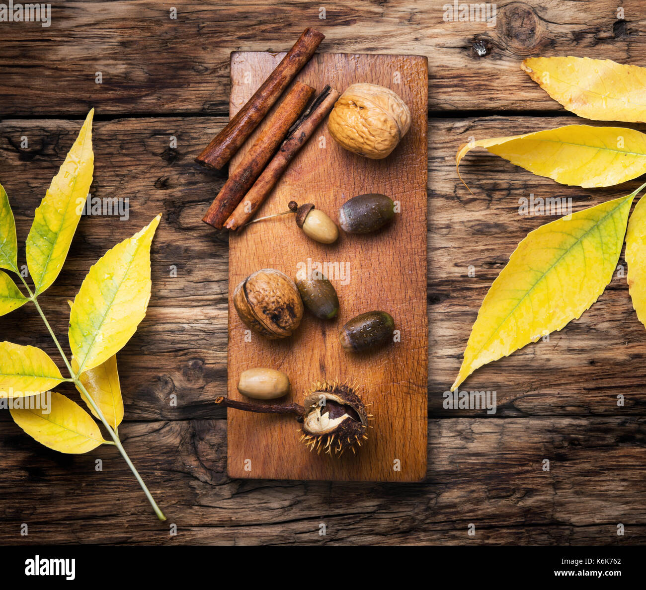autumn foliage, walnut, acorns and cinnamon on a retro background Stock ...