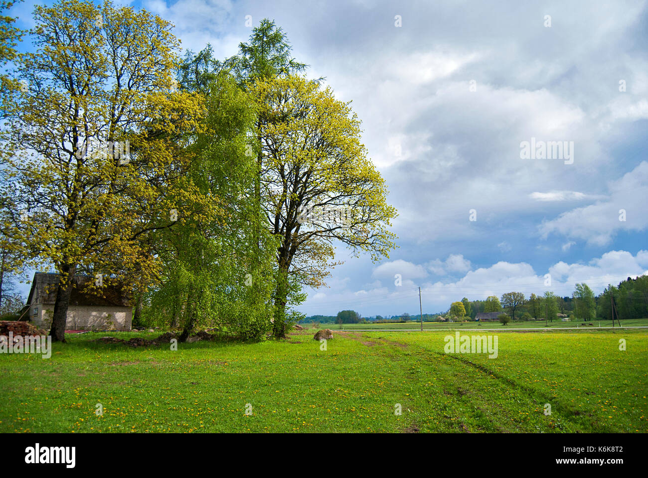 Spring bloom on countryside Stock Photo - Alamy