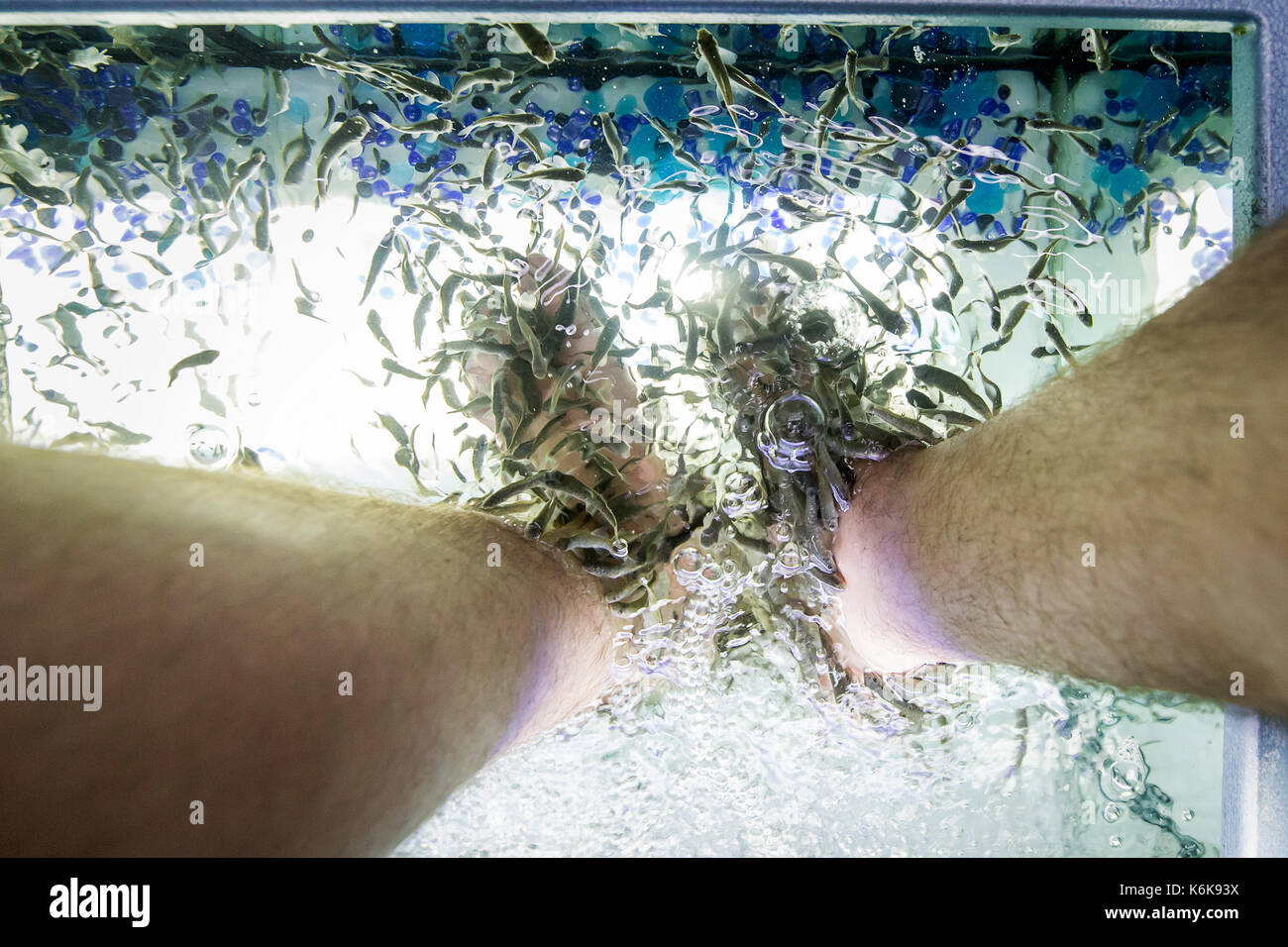 Pedicure fish spa feet wellness skin care treatment. Top view male feet ...