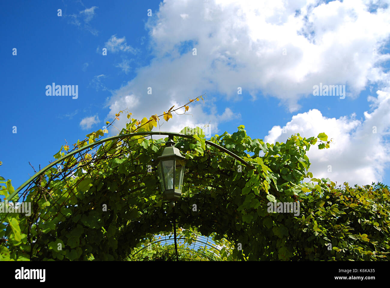 Green lantern hi-res stock photography and images - Alamy