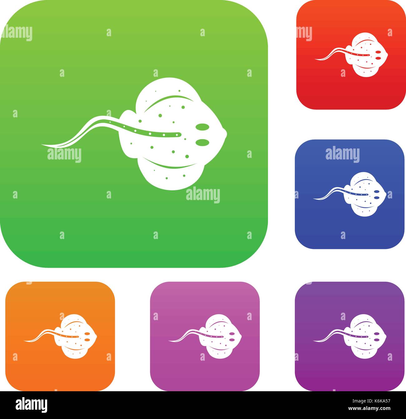 Stingray fish set color collection Stock Vector Image & Art - Alamy