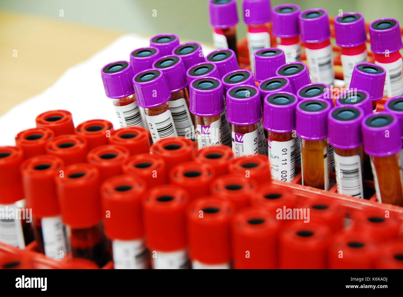 Blood samples in blood bank for blood donation Stock Photo - Alamy