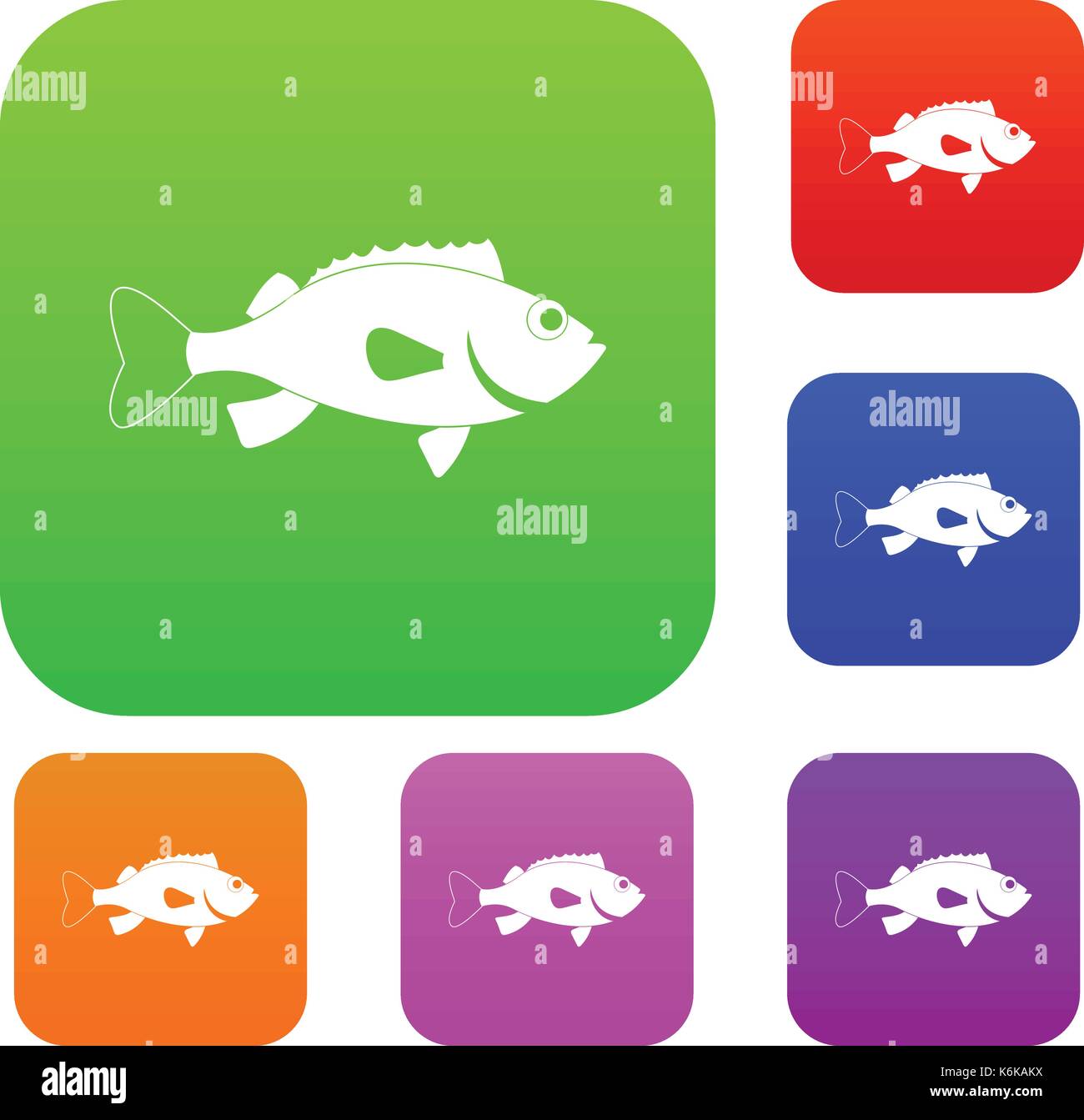 Sea bass fish set color collection Stock Vector Image & Art - Alamy