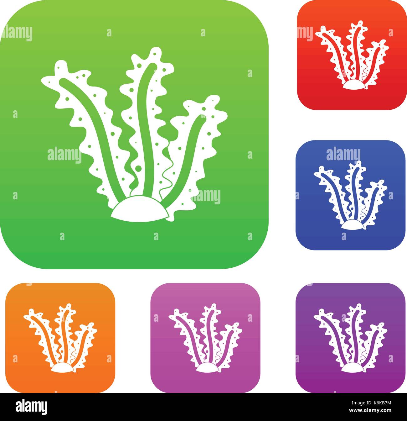 Seaweed set color collection Stock Vector Image & Art - Alamy