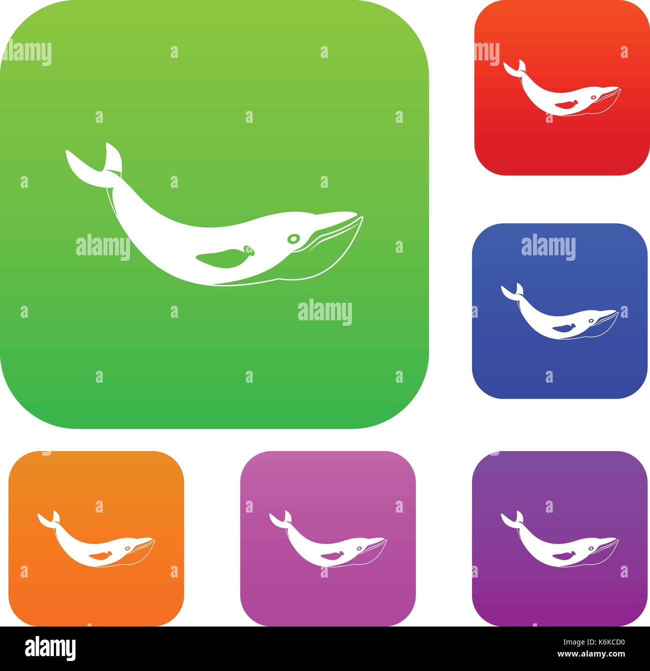 Whale set color collection Stock Vector Image & Art - Alamy