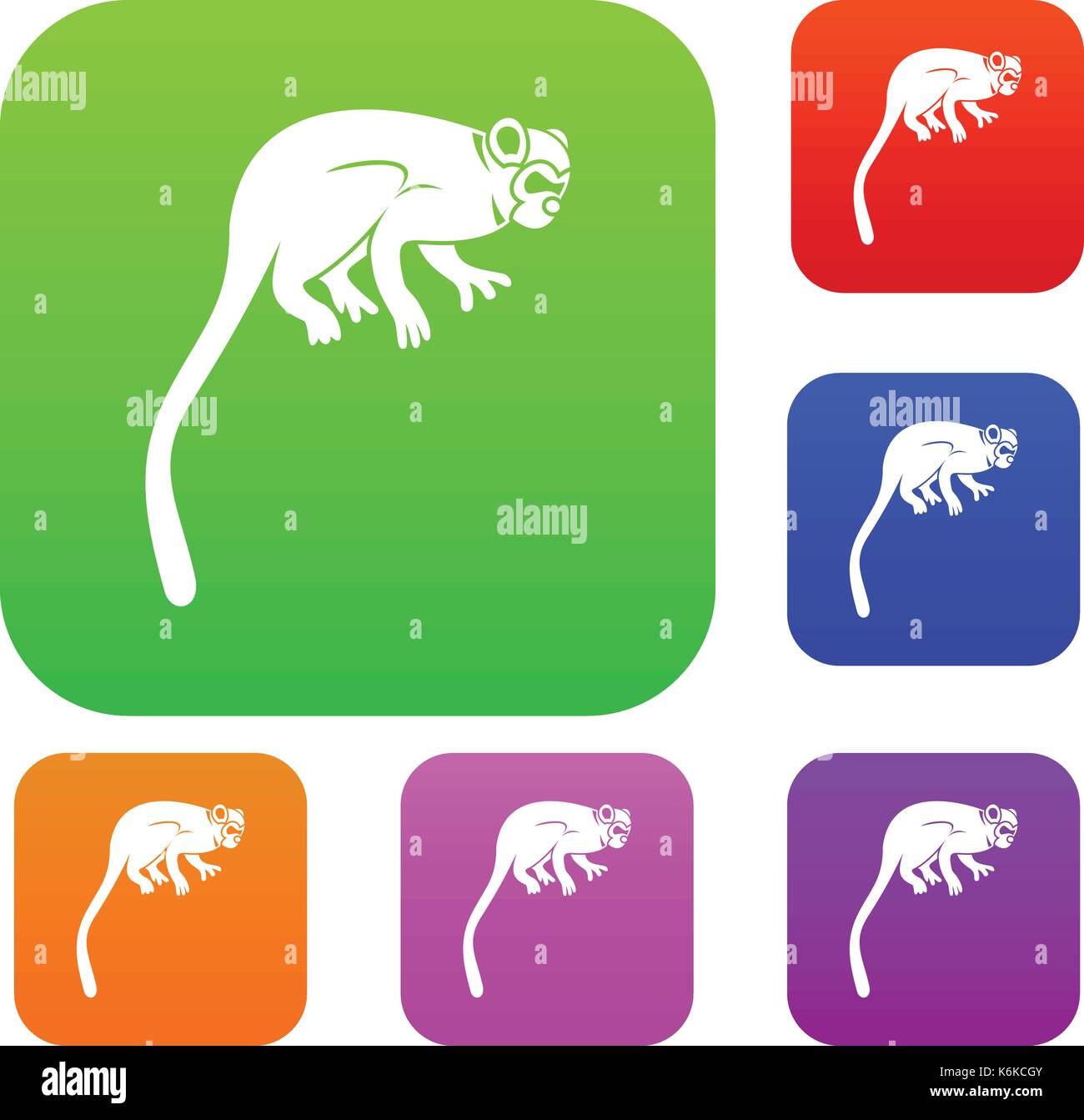 White marmoset Stock Vector Images - Alamy
