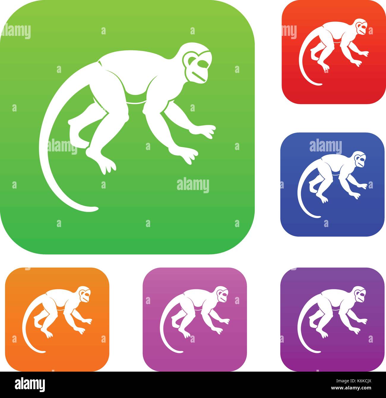 Capuchin monkey set color collection Stock Vector Image & Art - Alamy