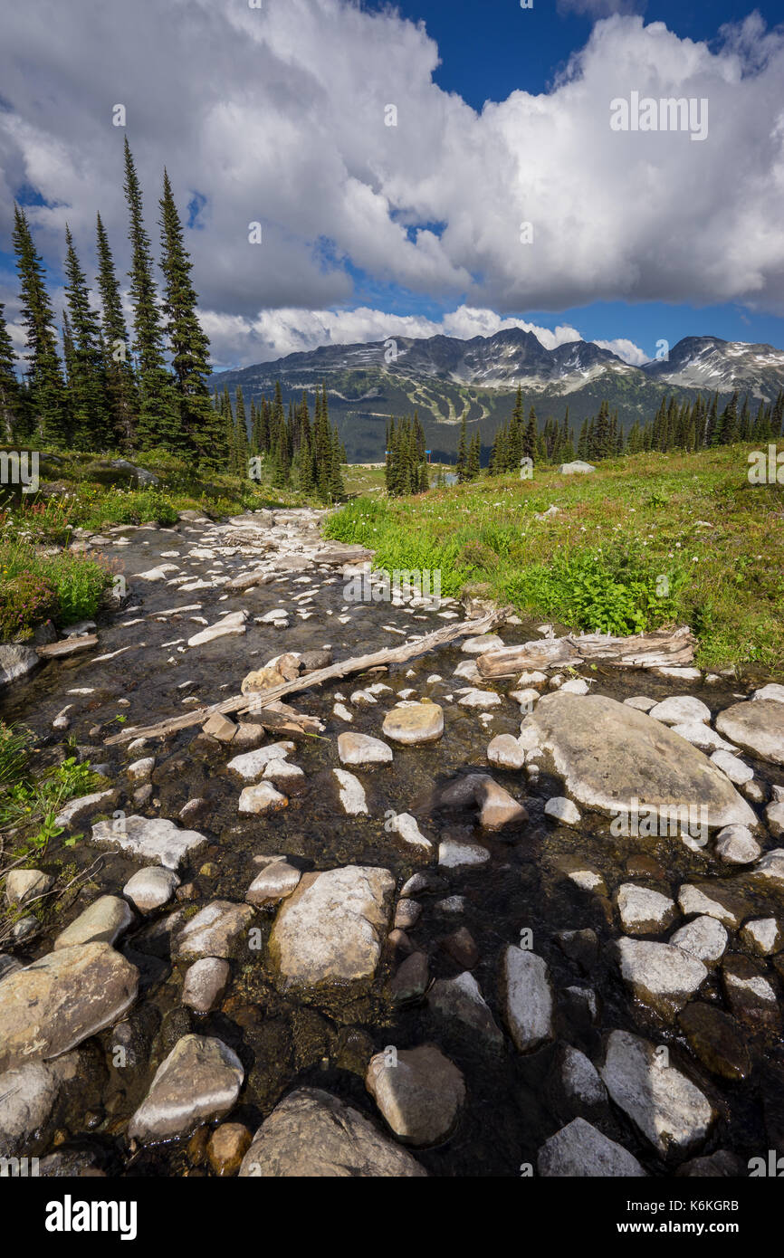 High Note Trail, Whistler Mountain, British Columbia, Canada Stock ...