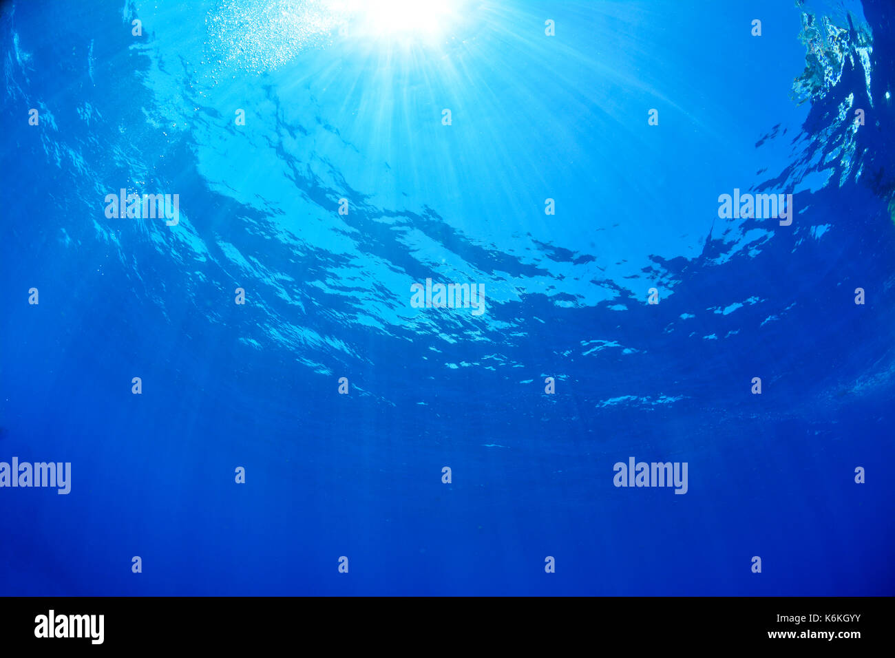 Blue underwater scene with waves on surface and sunlight Stock Photo ...