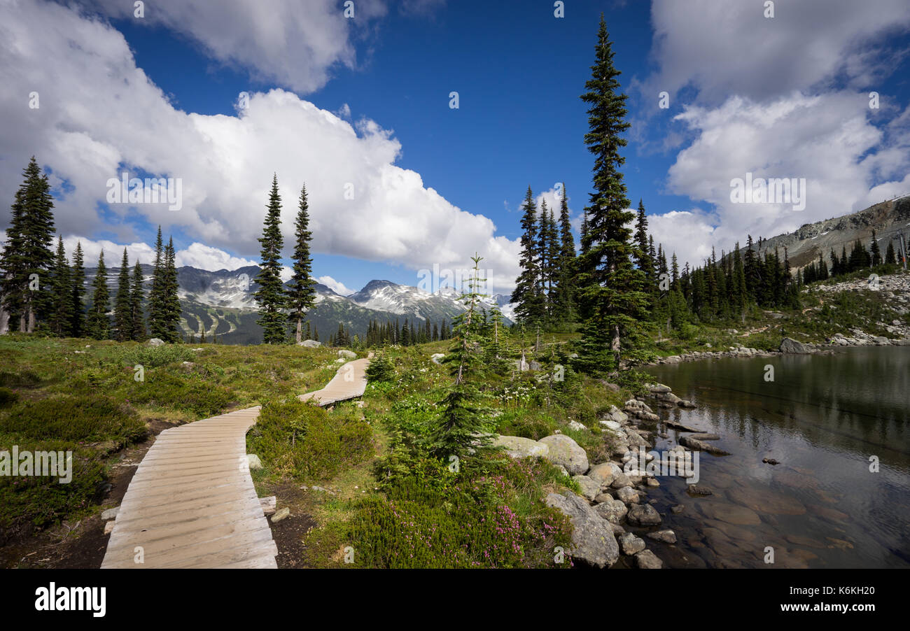 High Note Trail, Whistler Mountain, British Columbia, Canada Stock ...