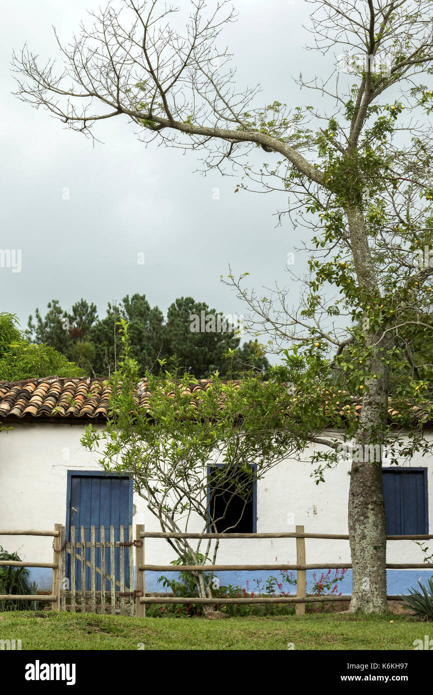 old brazilian farm house with blue wooden door and window tree and ...