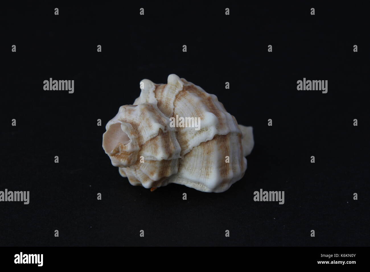 fishing in Bavaria Stock Photo - Alamy