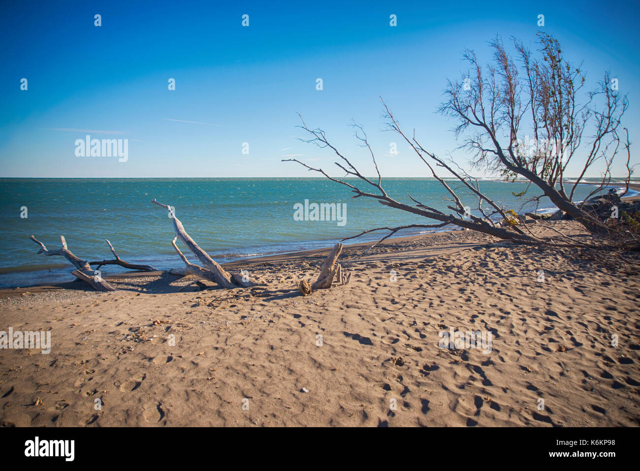 View of Point Pelee National Park beach in the fall at sunset time ...