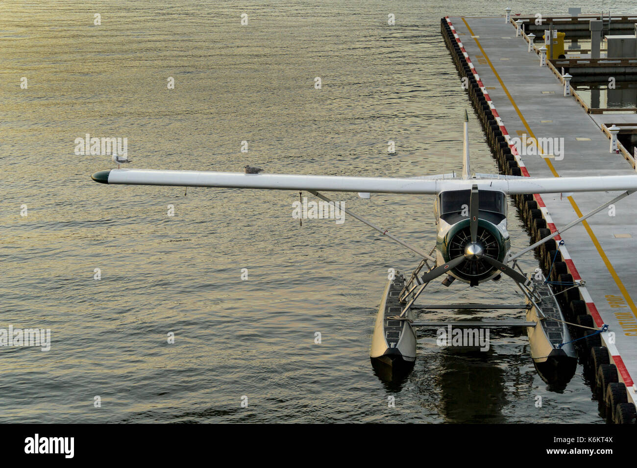 Hydroplanes hi-res stock photography and images - Alamy