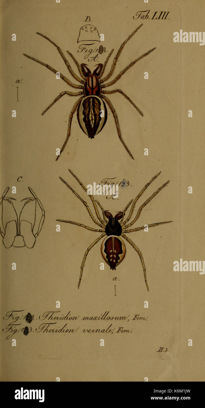 Series of detailed scientific drawings hi-res stock photography and ...