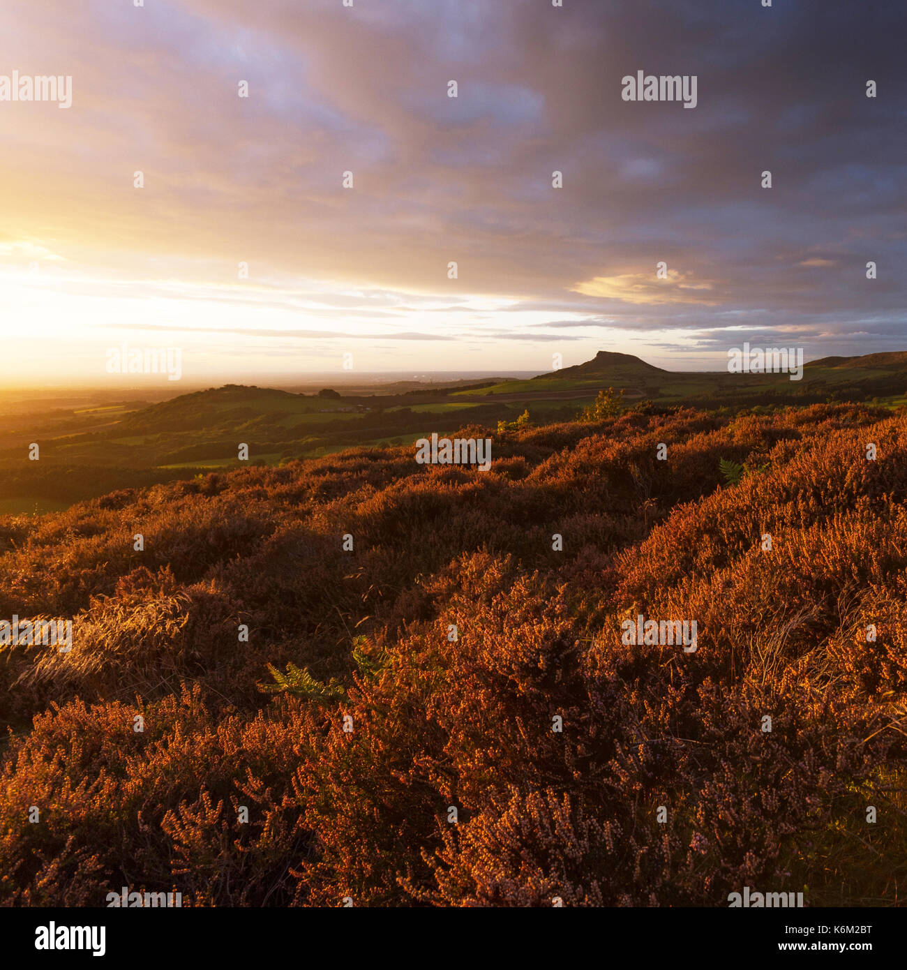 Roseberry Topping, from Gribdale, North Yorkshire Moors Stock Photo - Alamy
