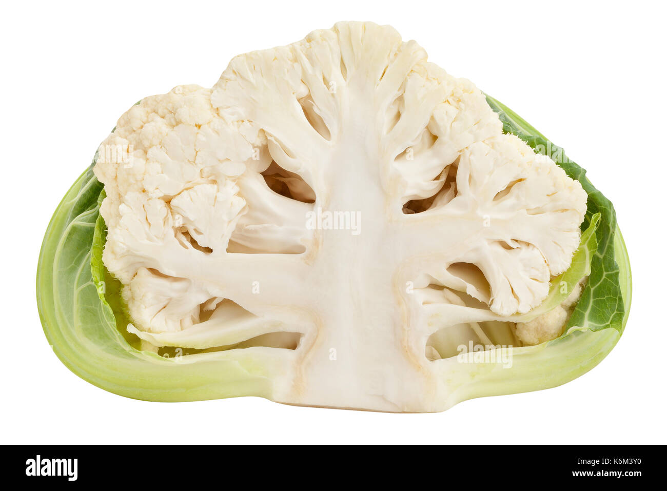 sliced cauliflower path isolated Stock Photo - Alamy