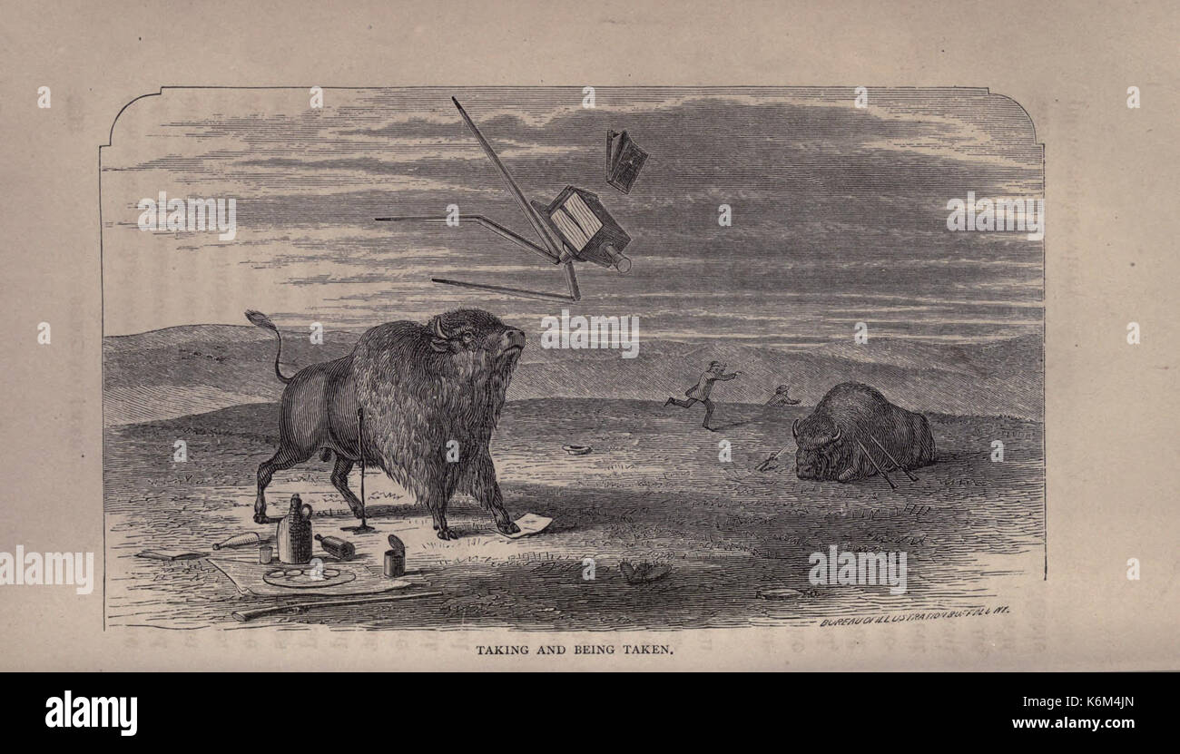 Buffalo land (Page 335) BHL17456153 Stock Photo - Alamy