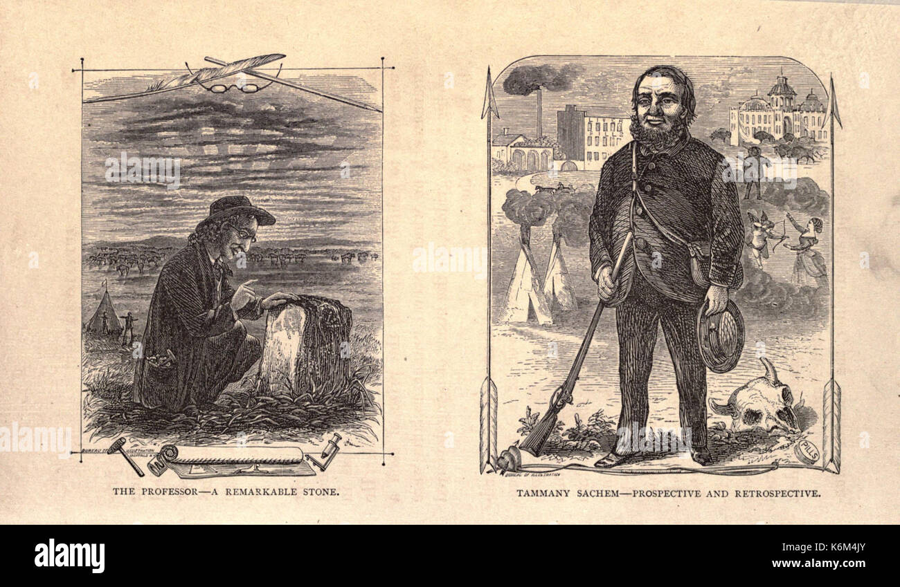 Buffalo land an authentic narrative of the adventures and misadventures ...