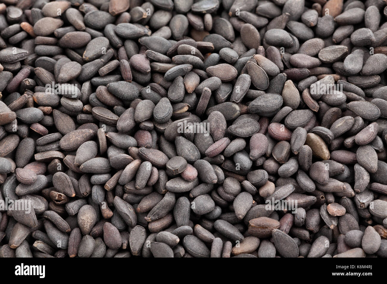 Black sesame seeds hi-res stock photography and images - Alamy
