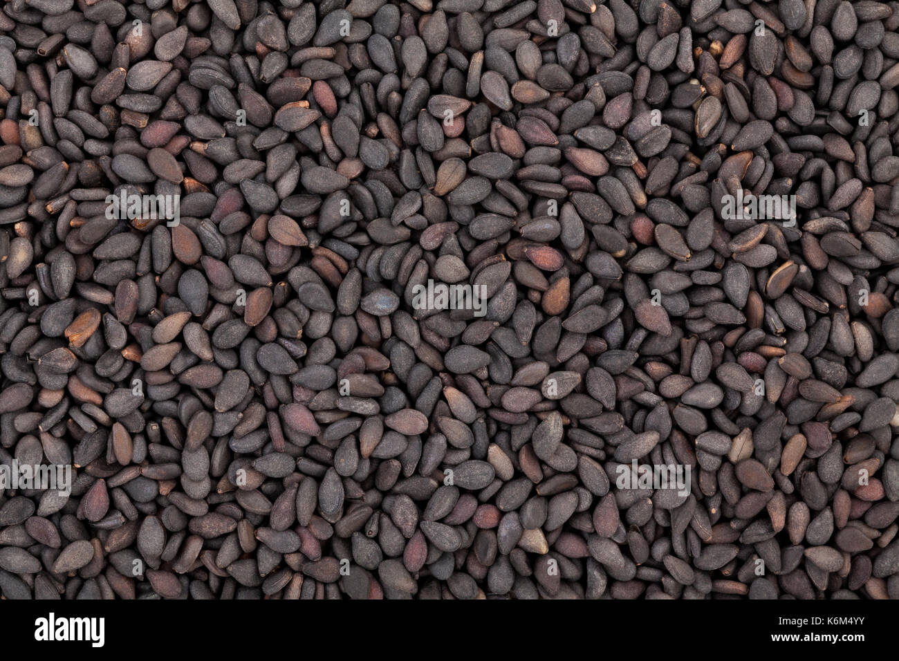 black sesame seeds texture Stock Photo - Alamy