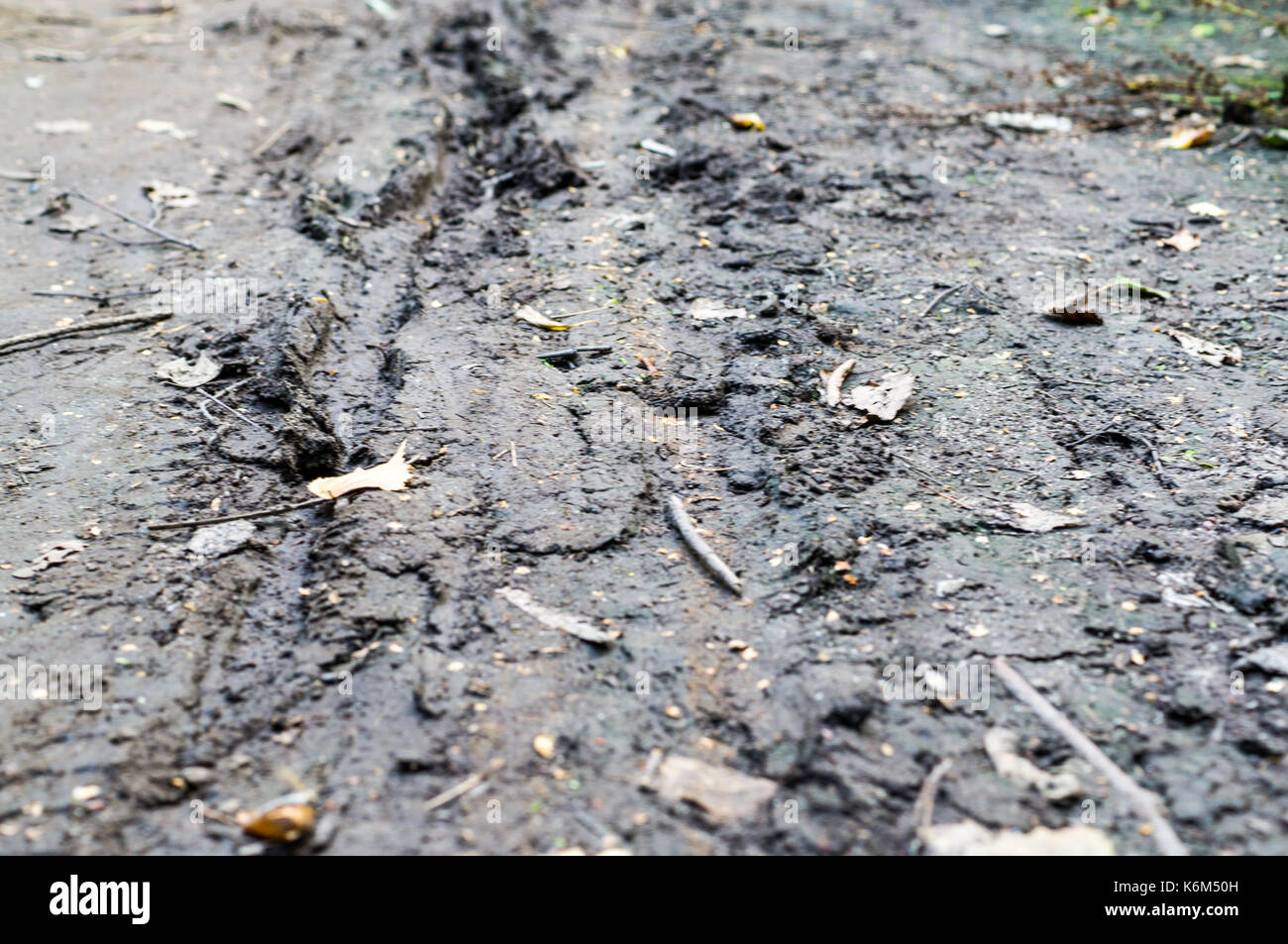 Dirt road texture hi-res stock photography and images - Alamy